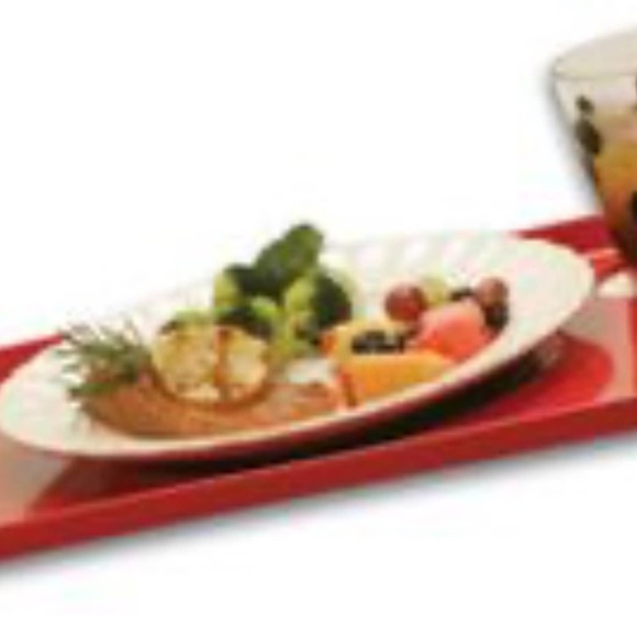 Lapper | Dining | 2pack Nonslip Dinner Trays In Zebra Print | Poshmark